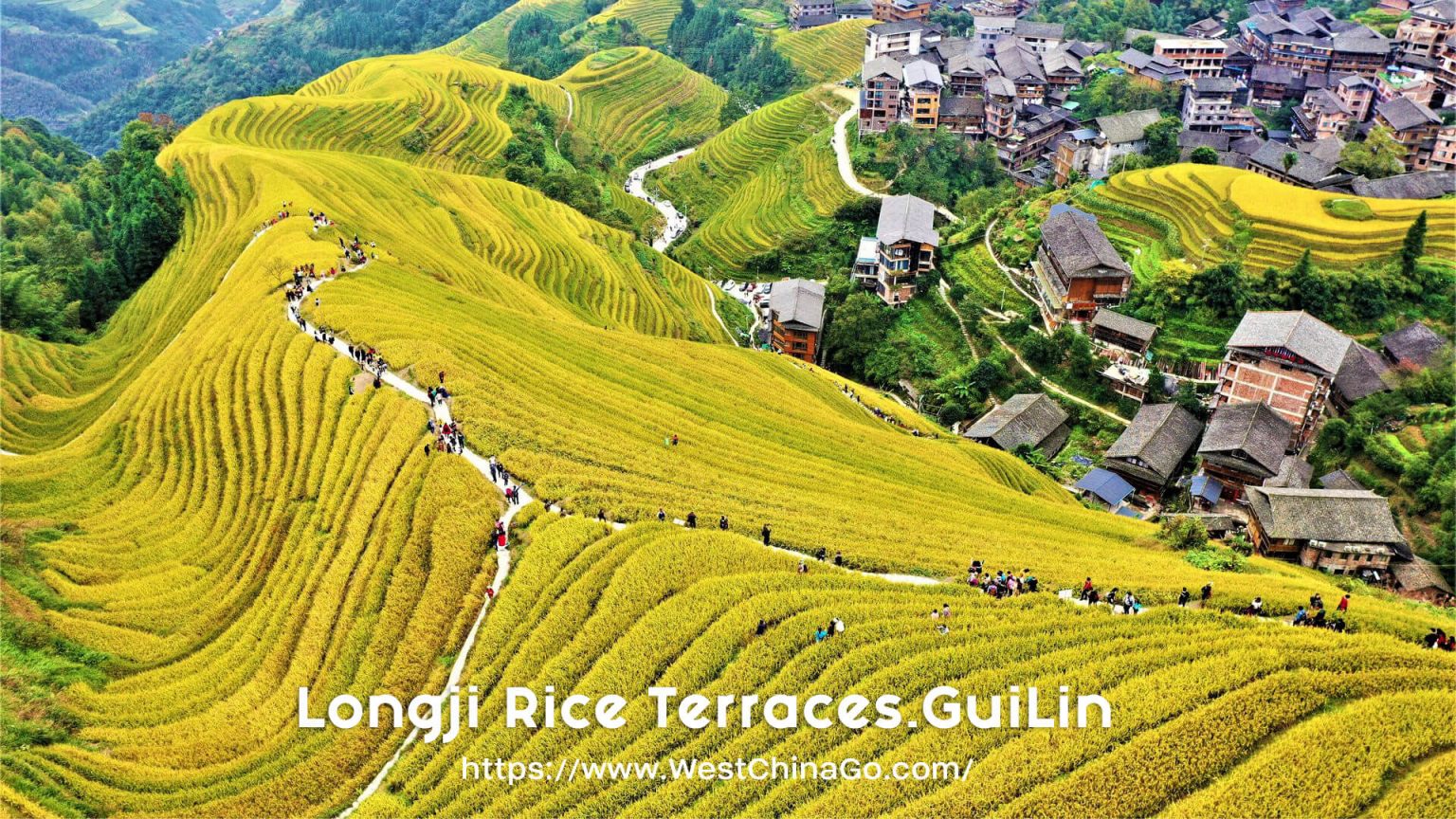 Guilin Longji Rice Terraces - China Tours @WestChinaGo